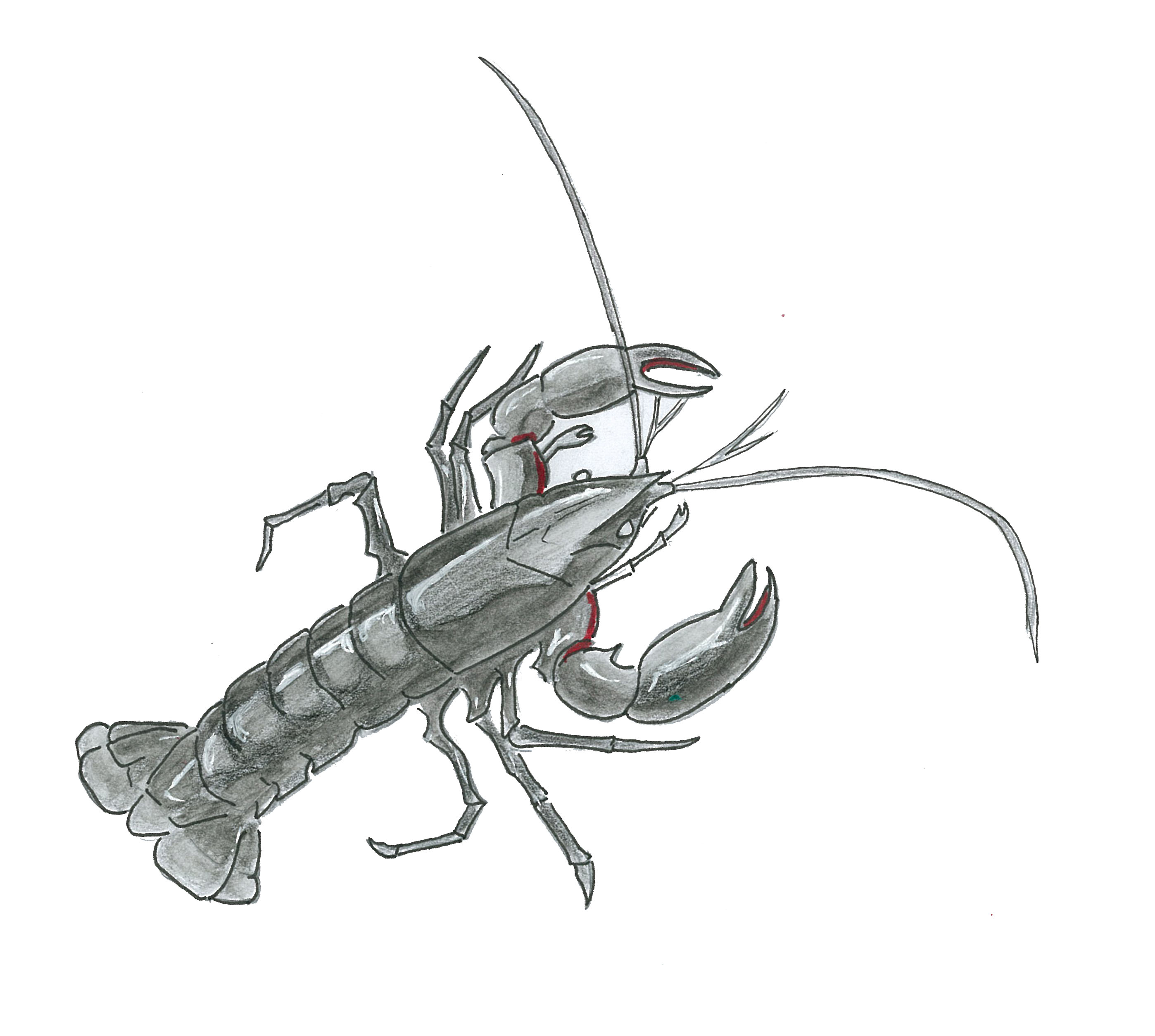 Western Australia – Top Seafood – Seafood Trails